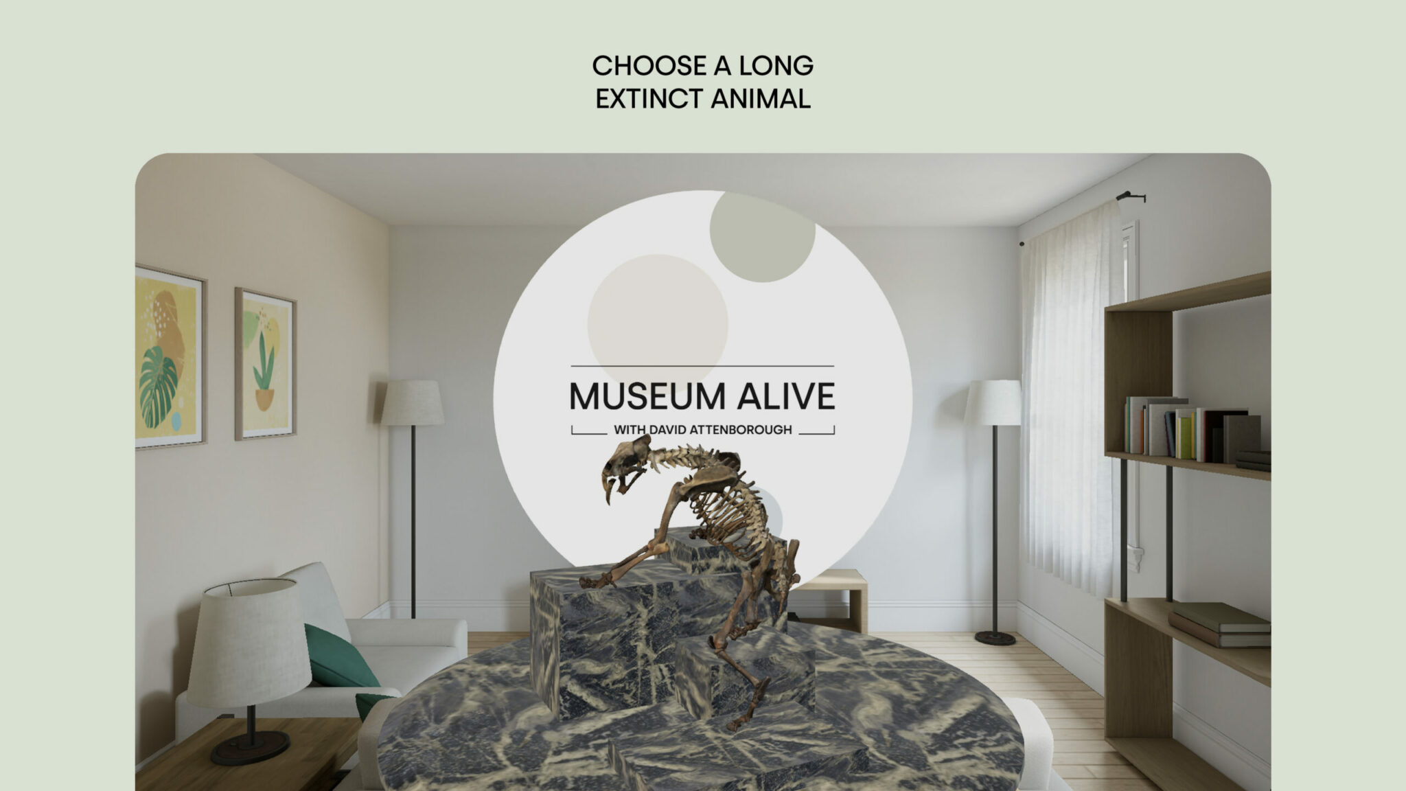 Museum Alive Vision Pro – Atlantic Studios